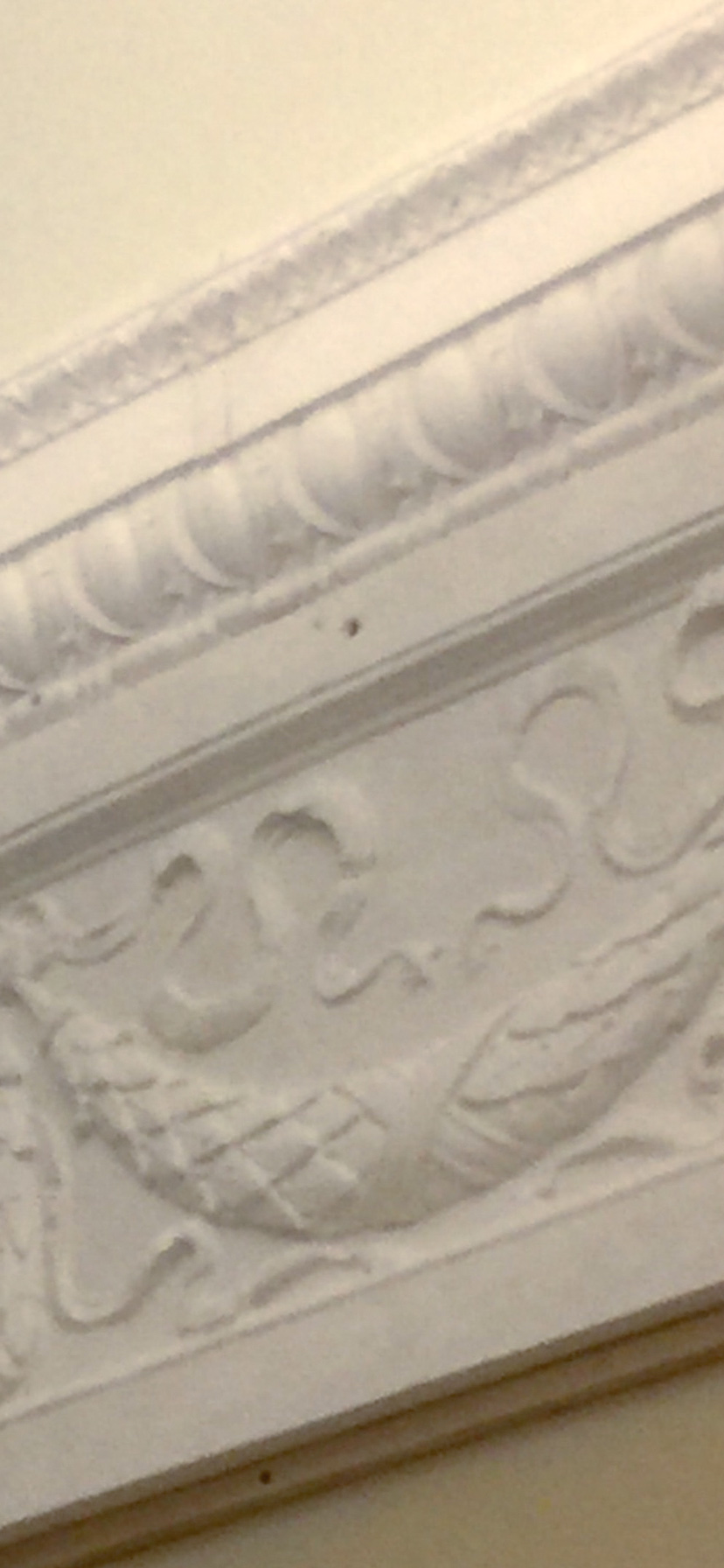 University Of Illinois: Plaster Frieze Repair - ZMartin Plastering
